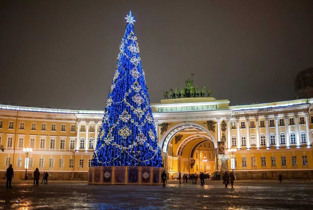 Петербург встретит Новый год с живой елью | MABIAB
